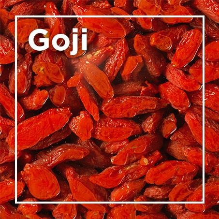 Goji em Cuidados com a Pele: Antioxidantes e Vitalidade | Garnier